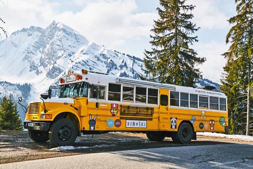 Dino Bus Adventure & Roarsome