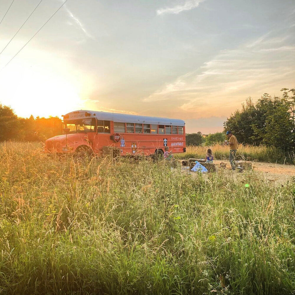 School Bus Staycations & Roarsome