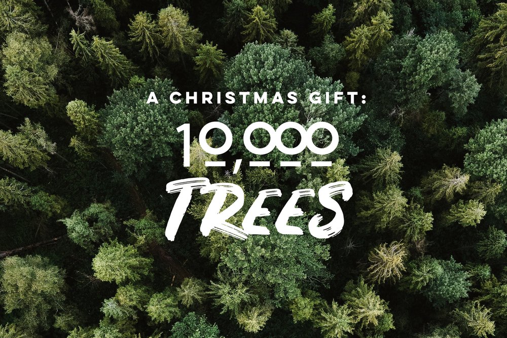 10,000 Trees & Roarsome